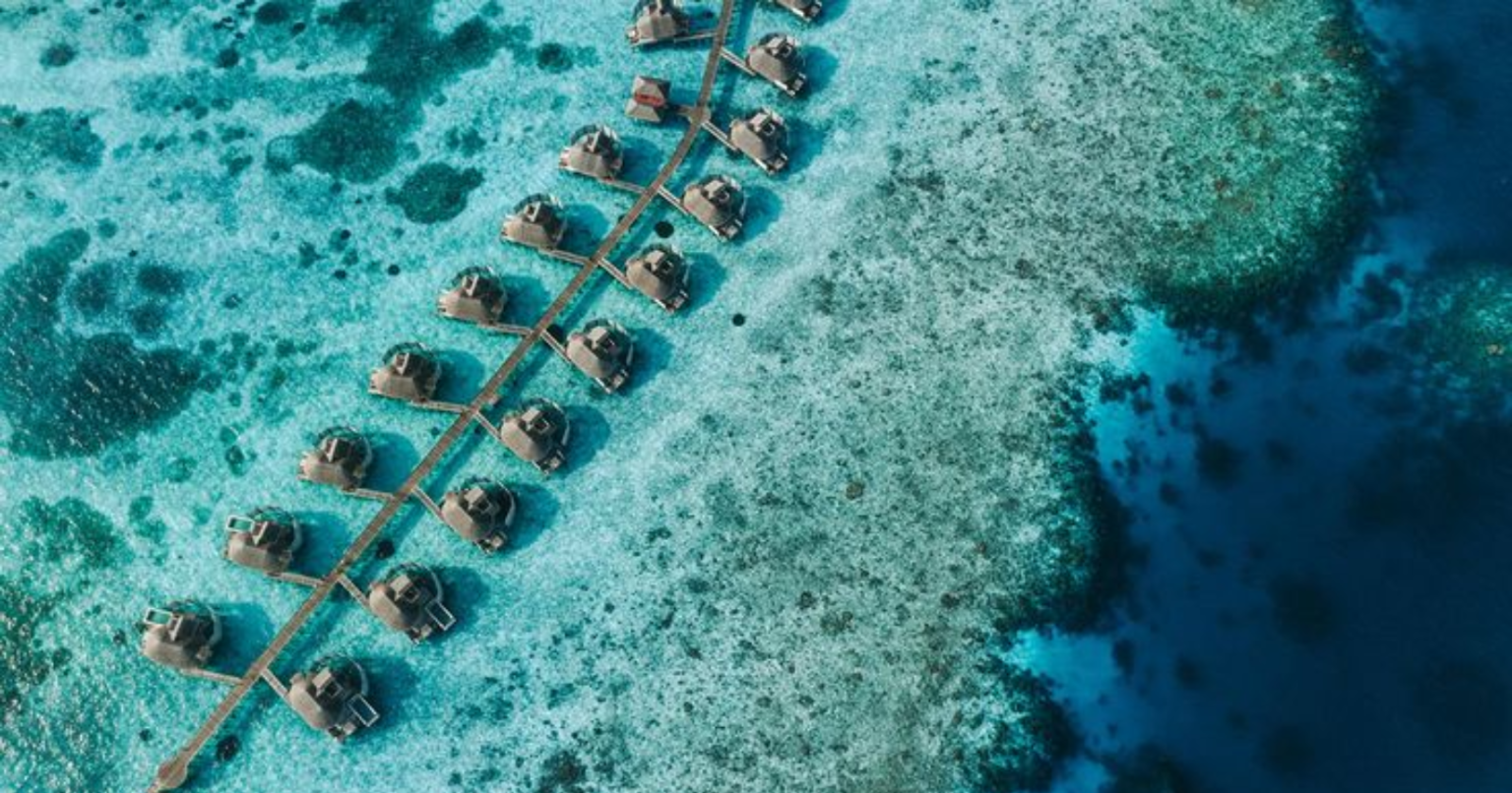 Shaping 2025: Key Trends in the Luxury Landscape